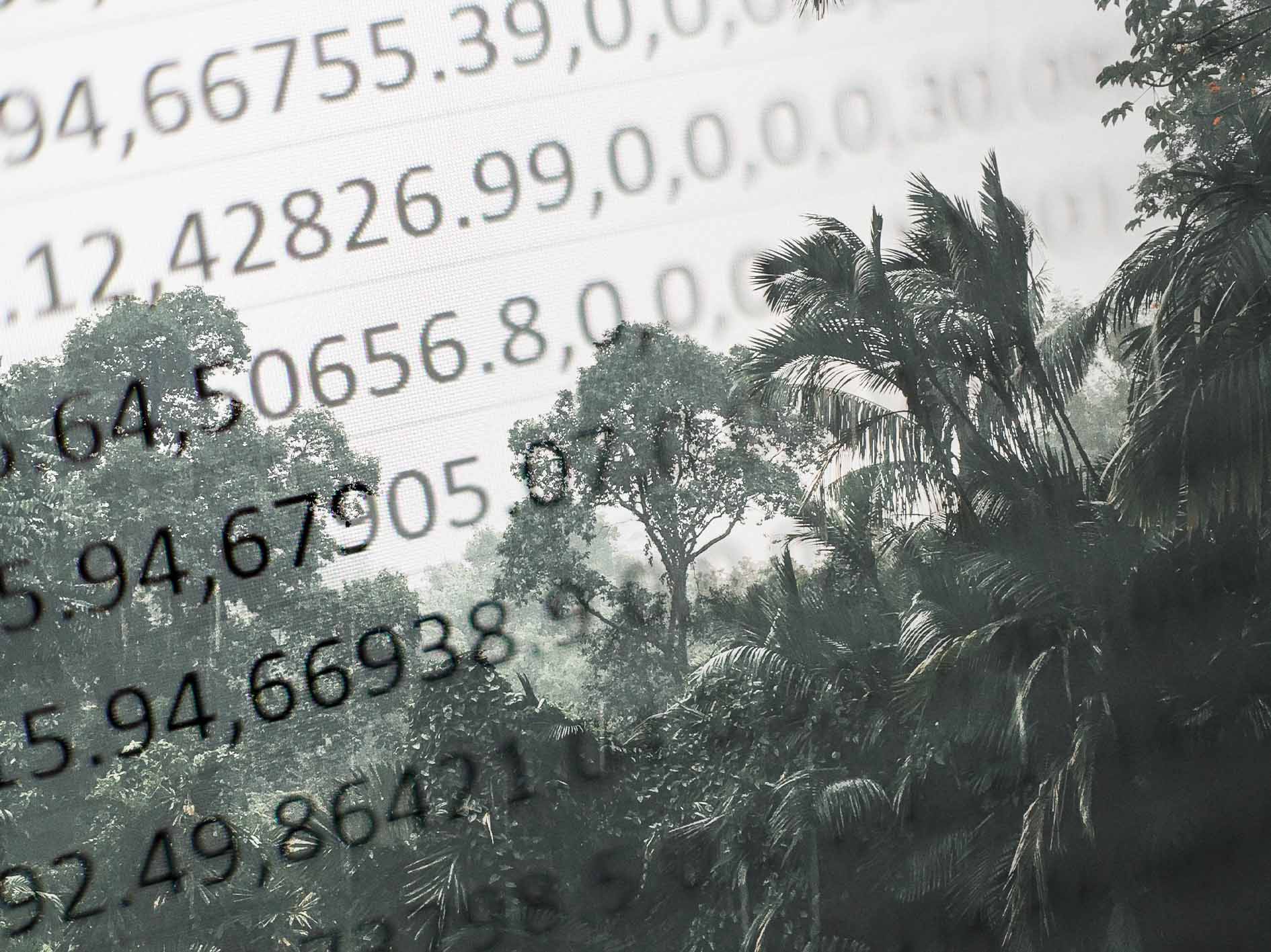 Training Course for SAP BW Query Designer